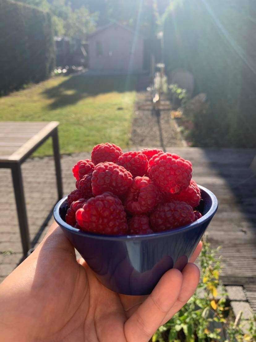 Kleine wormpjes in onze frambozen